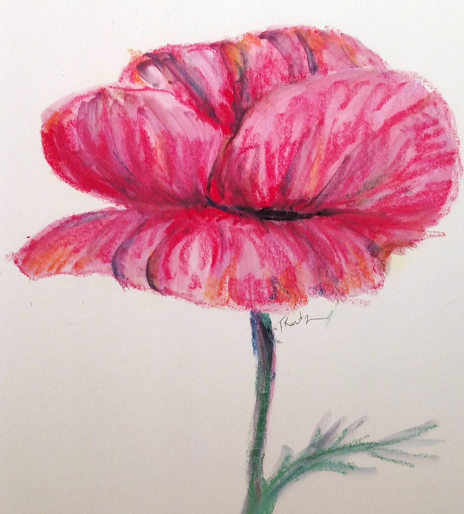 Art on the Street – T Kurtz – Spokane Art School